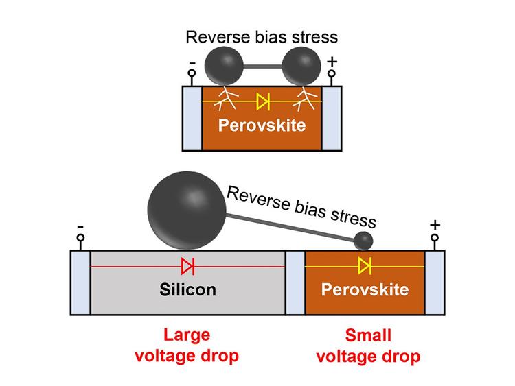 Reverse-bias resilience of monolithic perovskite/silicon tandem solar ...