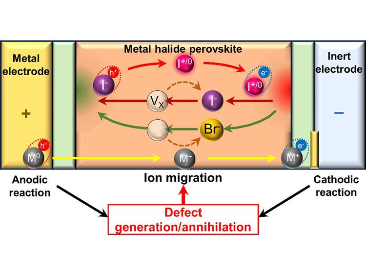 Beyond ion migration in metal halide perovskites: Toward a broader ...